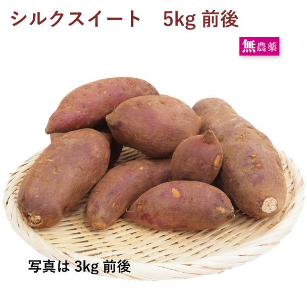 さつまいも　シルクスイート 5kg前後　無農薬栽培　送料込産地：千葉皮は紅色、実はクリーム色、舌触りがなめらかで、甘味がとても強いのが特徴です。焼きいもが一番のあおすすめですが、甘味の強さを活かしてスイーツ作りにも向いています。農産物の特性...