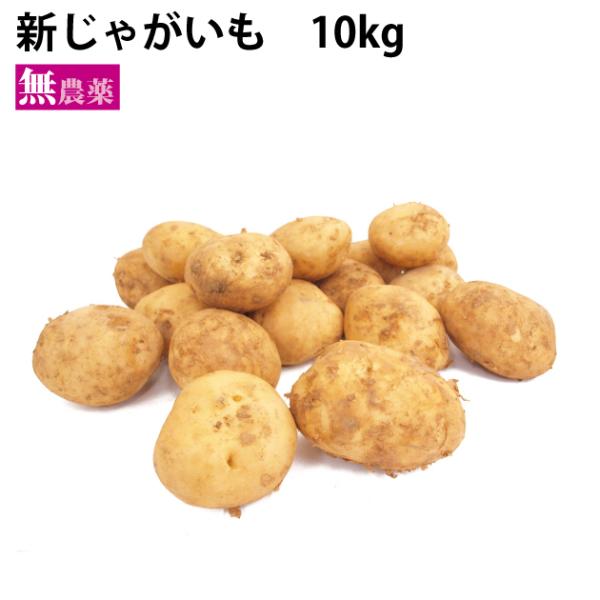 原材料：新じゃがいも　10kg前後　産地：鹿児島※入荷により大きさにバラつきがあります。