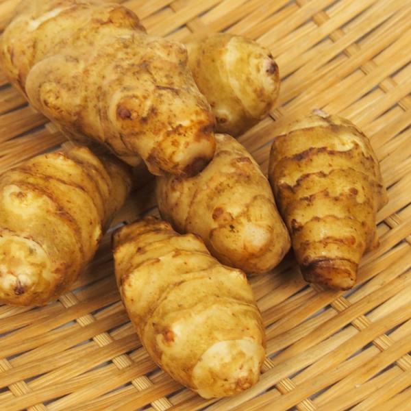 菊芋　200g前後×10袋　無農薬　産地：青森