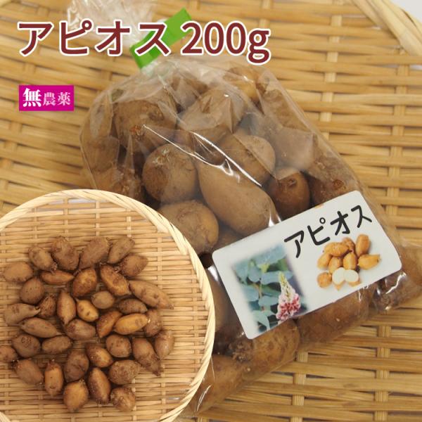 アピオス　200g前後×3袋　無農薬　産地：青森<br>
