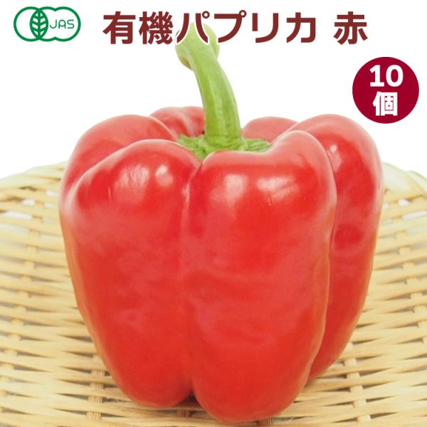 有機パプリカ 赤 10個 無農薬栽培 佐賀産 送料込 JAS認定 国産 食卓に華やかな彩を添える食材