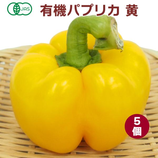 有機パプリカ 黄 5個 無農薬栽培 佐賀産 送料込 JAS認定 国産 食卓に華やかな彩を添える食材