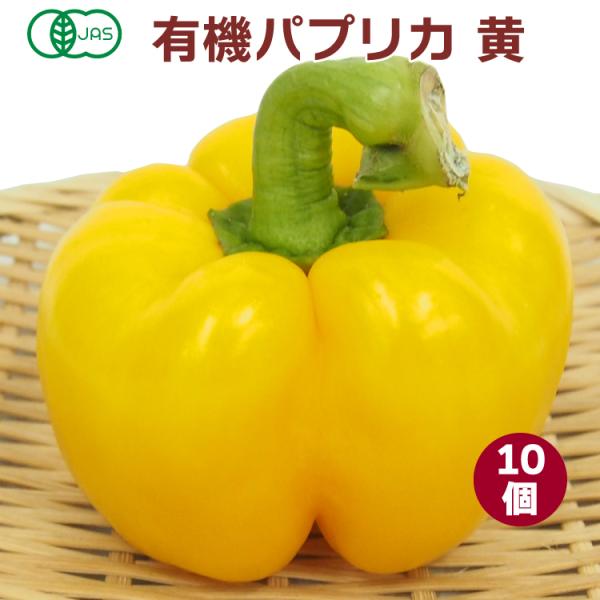 有機パプリカ 黄 10個 無農薬栽培 佐賀産 送料込 JAS認定 国産 食卓に華やかな彩を添える食材