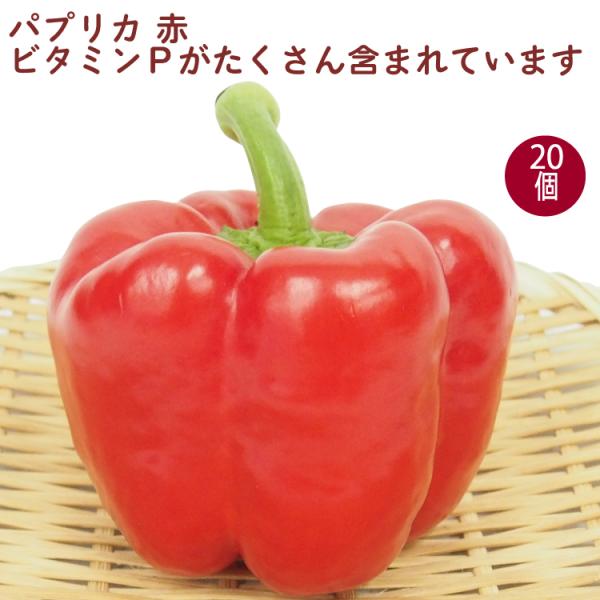 パプリカ 赤 20個 低農薬栽培 産地：熊本 送料込食卓に華やかな彩を添える食材