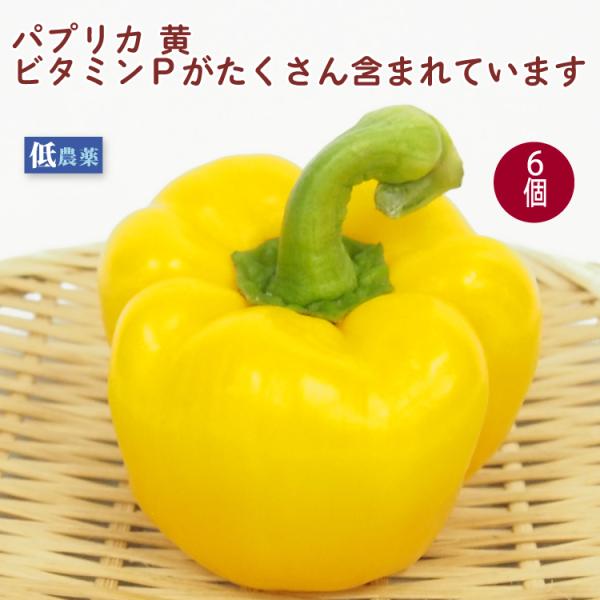 パプリカ 黄 6個 低農薬栽培 産地：熊本 送料込 食卓に華やかな彩を添える食材