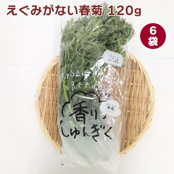 えぐみがない春菊 120g×6袋 無農薬栽培 産地：長野サラダがおすすめ