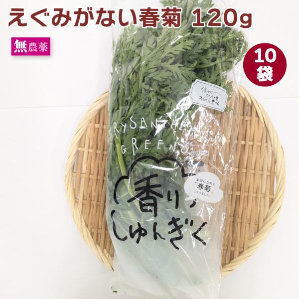 えぐみがない春菊 120ｇ×10袋 無農薬栽培　産地：長野<br>サラダがおすすめ