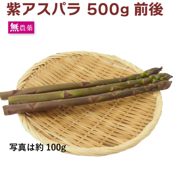 紫アスパラ 500g前後 無農薬栽培 産地：広島グリーンアスパラより甘味が強い 生でもおいしい