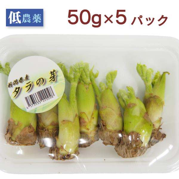 タラの芽（栽培）50g×5パック 低農薬栽培 産地：新潟<br>「山菜の女王」ともいわれるタラの芽です。<br>ほのかな苦みともっちりした食感が特徴で、天ぷらや胡麻和えでおいしさを実感していただけます。<br&...