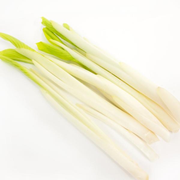 新潟産　うるい　100g×5パック　無農薬栽培