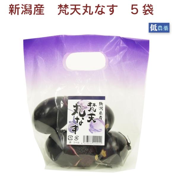 ぼんてん丸なす　5袋　低農薬栽培　産地：新潟　送料込