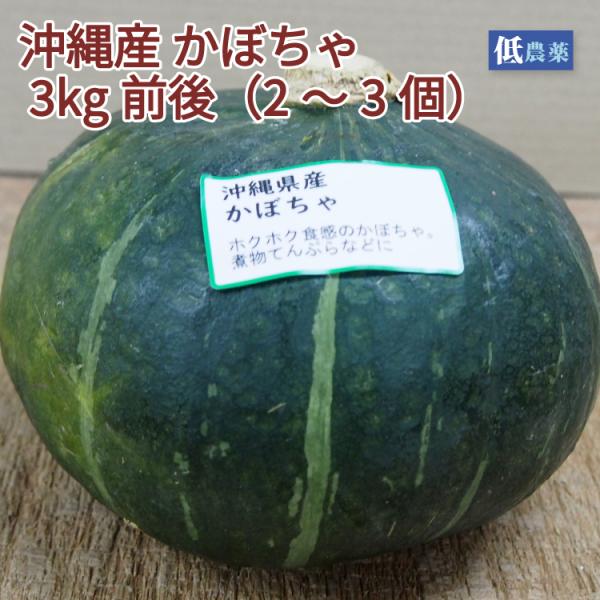 国産 かぼちゃ 3kg前後  低農薬栽培かぼちゃ(2〜3個)　沖縄産 送料込