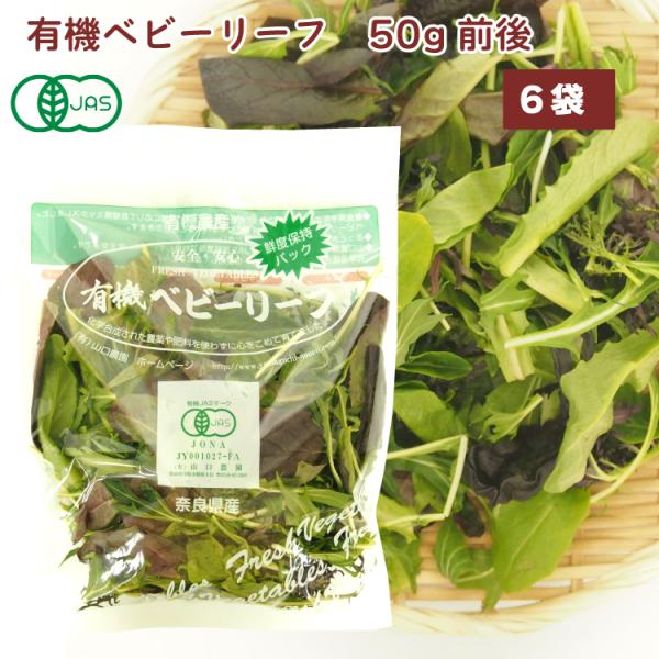 有機ベビーリーフ　50ｇ×6パック　産地：奈良