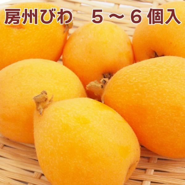 期間限定　房州びわ　無農薬栽培　5〜6個入　2パック　送料込