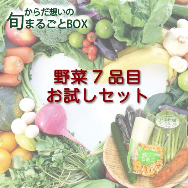 ベジタブルハート 【からだ想いの旬まるごとBOX お試し 7品目セット】お一人様1回限り トライアル すでにご利用いただいている方でもOK!