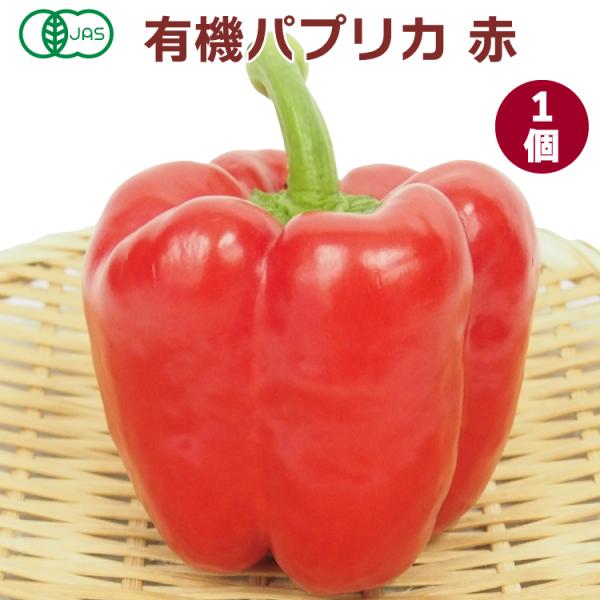 有機パプリカ 赤 1個 無農薬栽培 佐賀産 送料別 JAS認定 国産 食卓に華やかな彩を添える食材