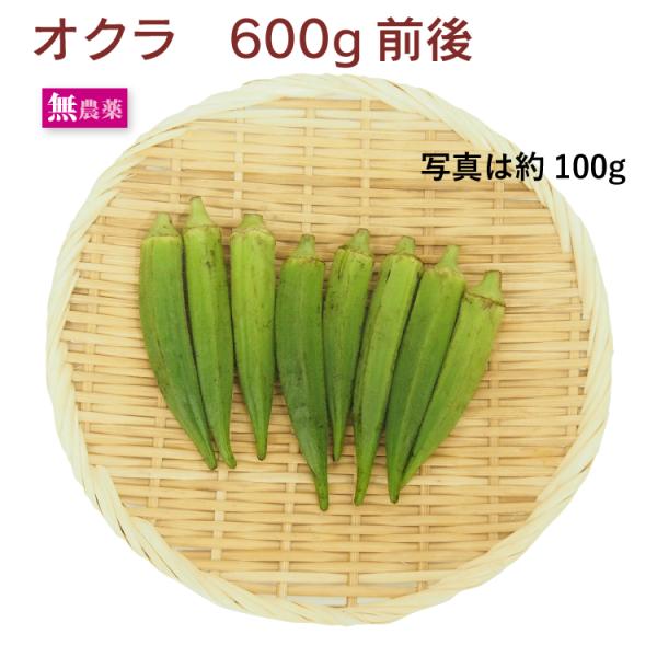 原材料：オクラ　600g前後　産地：鹿児島無農薬栽培のオクラです。