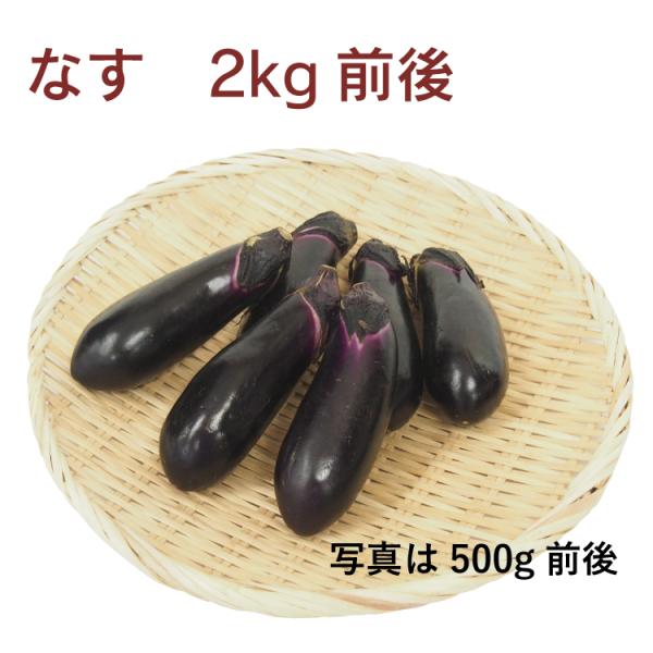 なす 　2kg前後　産地：高知または鹿児島商品説明：低農薬栽培のナスです。煮浸しや、揚げ物、漬物など様々な料理にお使いください。