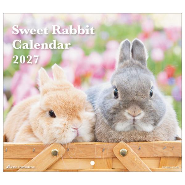 【発売日：2026年09月05日】近年ペットとしても人気の高い、かわいいうさぎを集めました。スケジュールなどが書き込みやすい、シンプルで実用的なカレンダーです。サイズ：約214x190mm（中綴じ2つ折 28頁仕様）六曜入りメーカー都合によ...