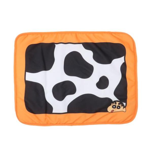 毎日使うものだからこそこだわりを 大人可愛い女性向け雑貨大人気アニメ[クレヨンしんちゃん]グッズにまたまた可愛いnewアイテム登場こちらはかわいい[ペット用ブランケット]思わず頬ずりしたくなる気持ちいい肌触りであったかさもバッチリなブランケ...