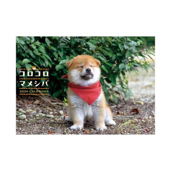 デザインいろいろお気に入りのカレンダーみつかる毎年定番人気の柴犬カレンダー。[コロコロマメシバ]2026年カレンダーサイズ：510x360mm仕様：28ページデザイン、仕様、発売日など予告なく変更になる場合がございます。 動物 カレンダー/...