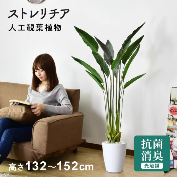 【送料について】※送料無料北海道+2,000円、沖縄・離島(一部地域含む)：送料＋別途送料お見積り◆商品名：光触媒 人工観葉植物　Strelitzia【ストレリチア】◆サイズ：幅60×高さ140〜160(cm)◆材質：　葉　　　：ポリエステ...
