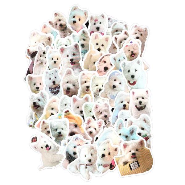 メール便送料無料♪たっぷり５０枚セット♪ウエストハイランドホワイトテリアのかわいいステッカーです★色々な柄のウエスティちゃんがポップでかわいいですよね♪★詳しくは商品説明欄をご覧ください。ウエストハイランドホワイトテリア 雑貨 ステッカー５...