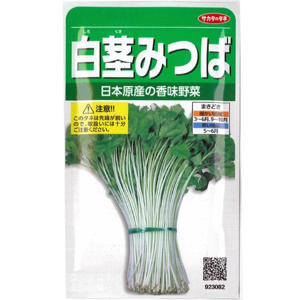 関東地方の軟化栽培に適し、春まきと秋まき栽培が可能です。草姿は立性で、葉は大型となり、葉柄は淡緑色で長く、軟白後の色合いも上々です。