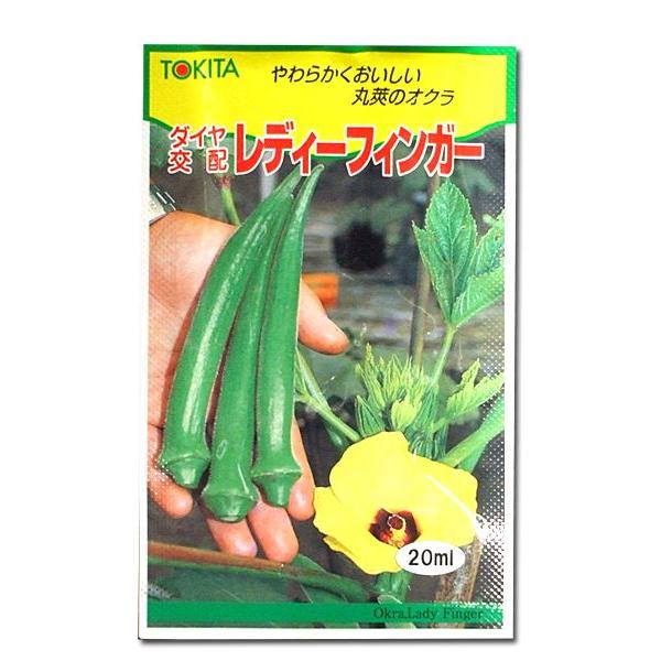 品種名のように美しい丸莢のオクラです。いつまでもやわらかくエメラルドグリーンで、おいしく栄養価の高いオクラです。草丈やや高く多収です。
