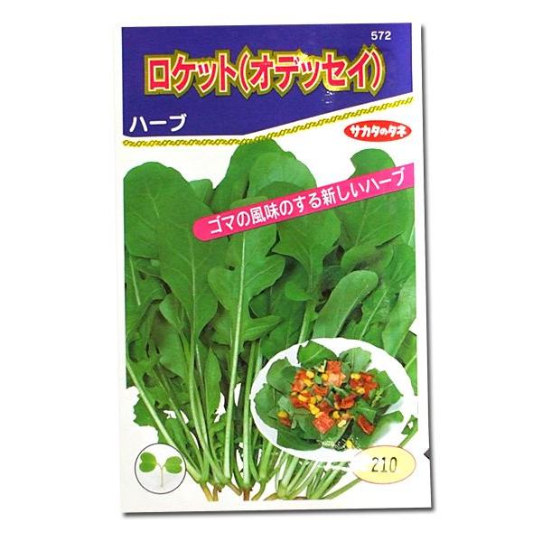 地中海沿岸で広く作られているアブラナ科の野菜です。ロケットやルッコラと呼ばれており、葉に欠刻があり、噛むとピリッとした辛みとゴマの香りが広がります。イタリア料理に多く使われていますが、おひたしや炒め物によく合います。
