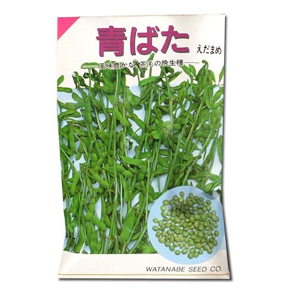 晩生種で、莢は一粒莢の少ない茶毛の大莢多収種です。甘味は強く独特の芳香があり、枝豆としてはもちろん、完熟種子のゆで豆としても最高の食味を持ちます。また、種皮色が緑色なので、きな粉用としても最適です。