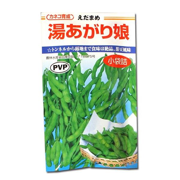 【発売日：2026年02月10日】茶豆特有の芳香を持ち、食味のよさに特に影響するショ糖含量のおおい食味抜群の品種です。栽培日数は85日タイプの中早生品種で、幅広い作型に適しています。