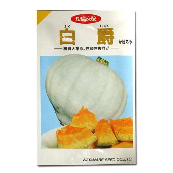 果皮は白色で光沢があります。肉質は強粉質のホクホクです。開花後45日位で収穫期に達しますが、50日以上の完熟果として収穫して下さい。