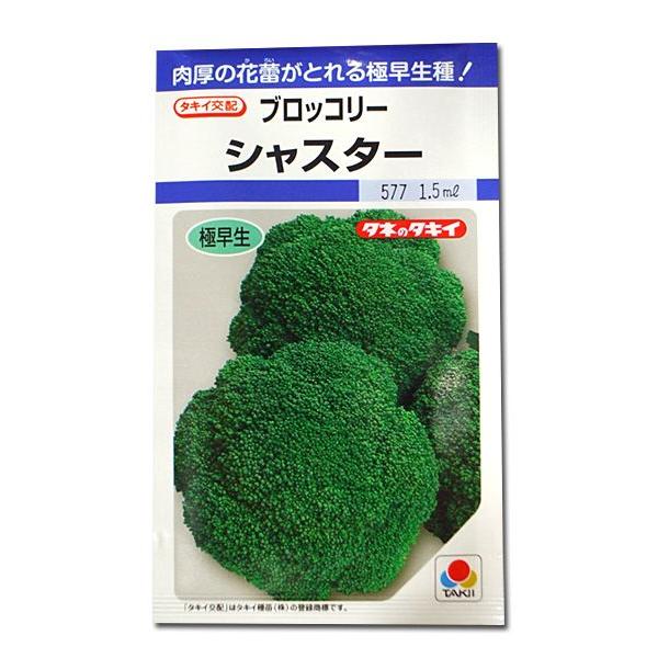 耐暑性が強く、栽培容易な極早生種です。花蕾は濃緑で肉厚、日持ちもよいです。株作りをすれば、側枝花蕾も楽しめます。