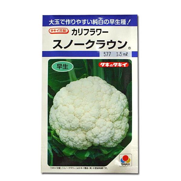 生育旺盛で栽培しやすい早生種です。純白・肉厚の大玉花蕾で、品質は良好です。