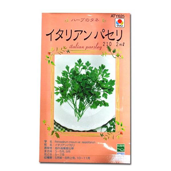 セリ科の二年草です。葉がチリチリにカールしない平葉種のパセリで、葉、茎、根ともビタミンや鉄分、カルシウムなどのミネラルも豊富なハーブです。