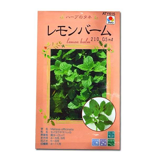 南ヨーロッパ原産のシソ科の宿根性多年草です。ハッカに似た葉にレモンの香りがあります。