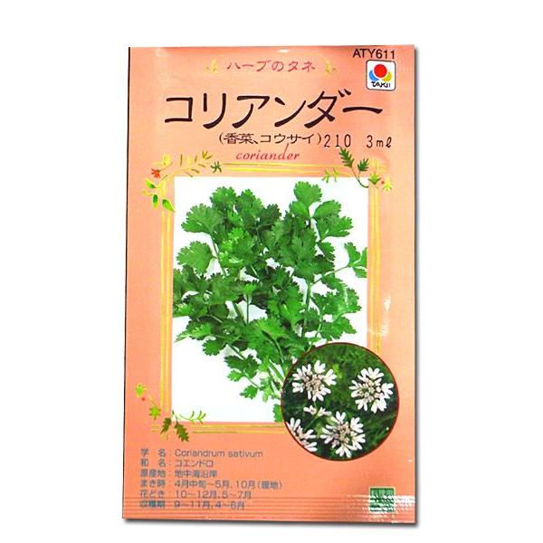 強烈な匂いと風味を持つ南欧原産のセリ科の一年草です。