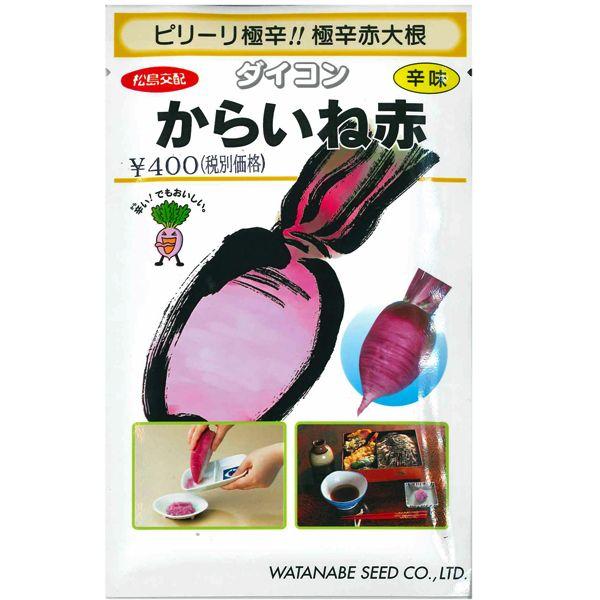 鮮やかな紫紅色で、極めて辛味の強い大根です。肉質は非常に硬く水分も少ないため、おろしにした場合にも流れません。