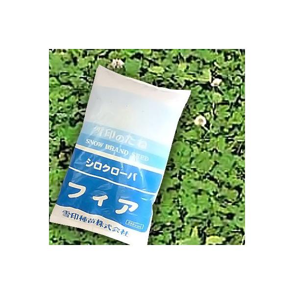 シロクローバ フィアは、空気中チッソを取り込み、土壌に供給します。草丈低く横に広がるので、雑草防止や土壌浸食防止に有効です。葉はやや小型で、再生、永続性とも良好です。耐寒性強、利用年限の長いニュージーランドの改良種です。（播種適期：9月中旬...