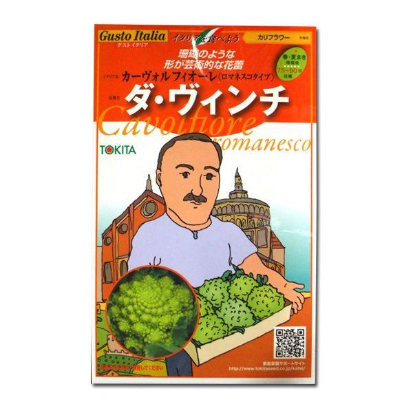 ブロッコリーにも似た風味を持ち、ほのかな甘味が特徴。形が美しいので、さっと茹でて魚や肉に添えると料理が数段引き立ちます。ピクルスにも最適です。よく煮込んでスープにも利用できます。珊瑚のような形状の花蕾が特徴で、生育早生で定植後75〜90日で...