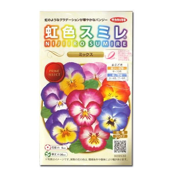 花径約5cmの中輪パンジーで、虹のようなグラデーションが華やかな印象を与えてくれます。一株ごとに微妙に変化する花色が、コンパクトな草姿に鮮やかに咲きます。
