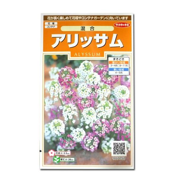 和名ニワナズナというアリッサム。小さな花が集まった手まりのような花房で覆われる草姿と、ほのかな香りが魅力です。極端な暑さと寒さは苦手ですが、開花期間も長く花壇やコンテガーデンに適します。