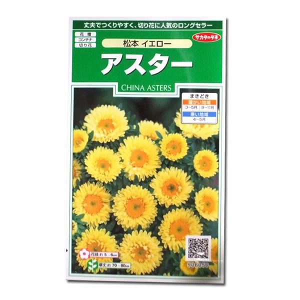 和名エゾギク。花径5cmほどで、暑い夏でも花もちがよく、お盆の花として人気のロングセラー品種です。茎が丈夫で立枯病に強く、作りやすいので、夏の花壇や切り花に適しています。花色は淡い黄色です。