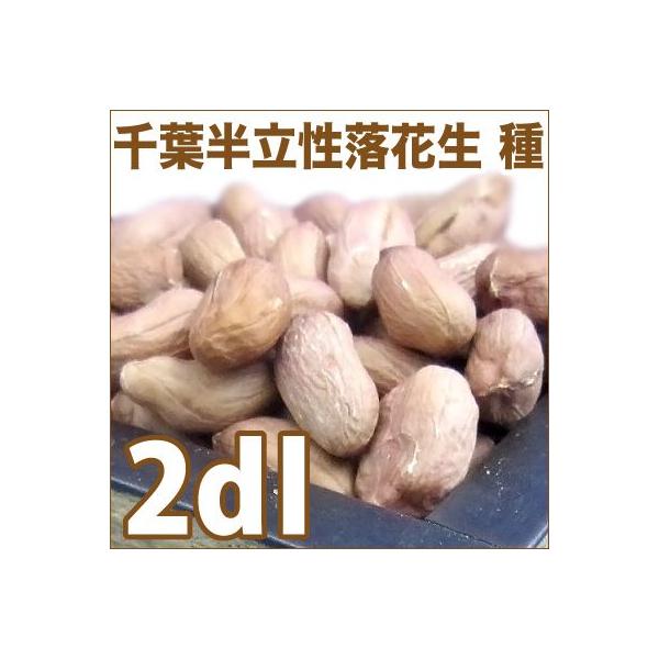 【発売日：2026年03月30日】【3月下旬頃順次発送予定】初心者にも作りやすい、おすすめの品種です。家庭菜園向きの万能品種で、半立性で簡単に栽培できます。草姿は半立性の大粒種。草勢強く分枝性に富み、節間が短く着生が極めて多い豊産種です。莢...