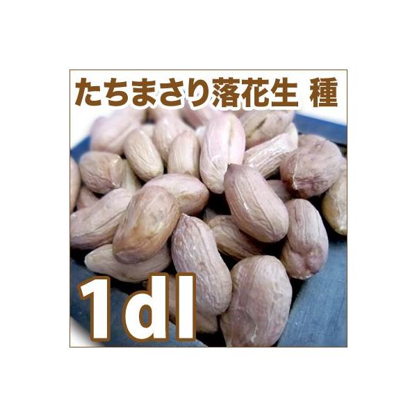 【発売日：2026年03月30日】【3月下旬頃より順次発送予定】大粒で良質の立性ピーナツ。ゆでて良し、炒って良しの万能落花生です。※本商品はメール便をご利用できません