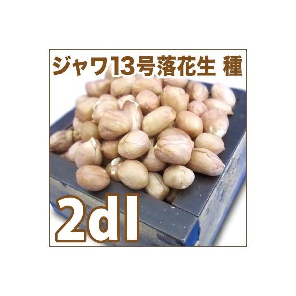 【発売日：2026年03月30日】小粒で良質の立性ピーナツ。ゆでて良し、炒って良しの万能落花生です。※本商品はメール便をご利用できません