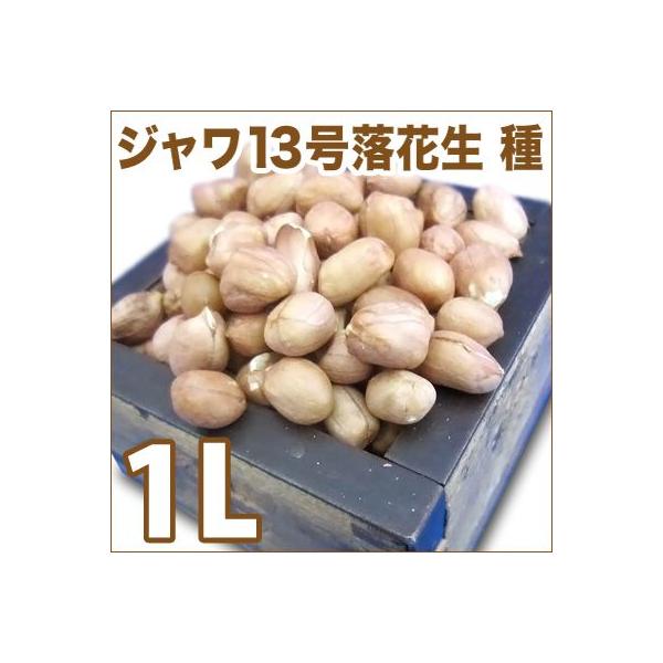 【発売日：2026年03月30日】小粒で良質の立性ピーナツ。ゆでて良し、炒って良しの万能落花生です。※本商品はメール便をご利用できません