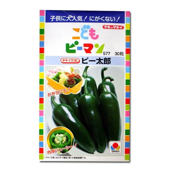 苦味やピーマン臭が少なく、果肉が厚くジューシーなピーマンです。ビタミンCやカロテンも豊富です。果実は40g程度。キュートな果形で果揃いがよいです。草勢強く、栽培しやすいピーマンです。