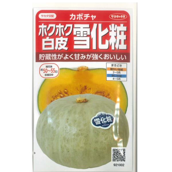 草勢は非常に強く、果実は2.3kg前後の偏円型で、果皮は灰白色のニュータイプのカボチャです。収穫後の腐敗や肉質の劣化が遅く、収穫後3ヶ月くらいまで美味しく食べられます。